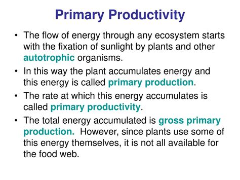 Primary Productivity Biology