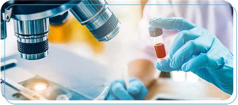 Standard Immunophenotyping Panel Sip At Amerimmune Clinic