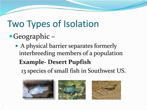 Speciation Ppt Download Speciation Ppt Download