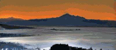 Orange Sunrise Tumbex