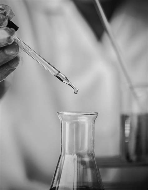 Polymer Crosslinking An Overview Of The Breakthrough Science