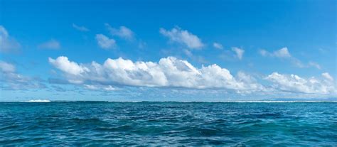 Interdisciplinary Research On Open Ocean Alkalinization Csei