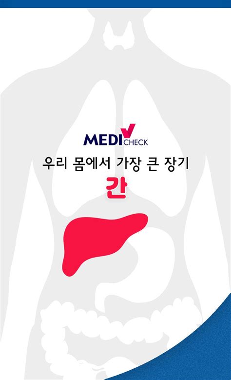 간 기능 검사 금식 및 주의사항 안내 네이버 포스트