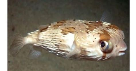 할머니댁 방문 전후 전세계 손자·손녀 모두 공감