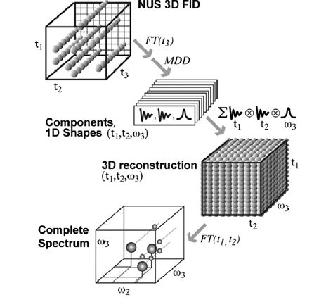 Schematic Of The Procedure By Which The 3d Frequency Domain Spectrum Is