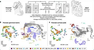 Focus On RNA Secondary Structure RNA Seq Blog