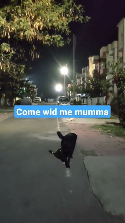 Trusting Youtube Algorithm Day 46 Shortsfeed Shortsvideo Shorts Youtubeshorts