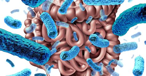 What Are Psychobiotics