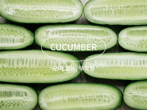 오이 효능 영양성분 칼로리 수분 보충 혈당 감소 변비 예방 네이버 블로그