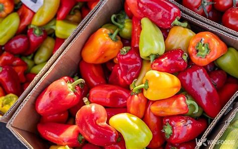 피망vs파프리카… 뭐가 다른지 확실하게 알려드립니다 위키푸디 Wikifoodie