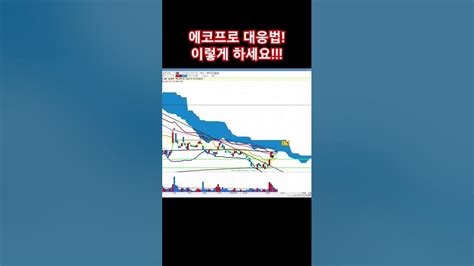 2차전지 대장 에코프로 주가전망 Youtube