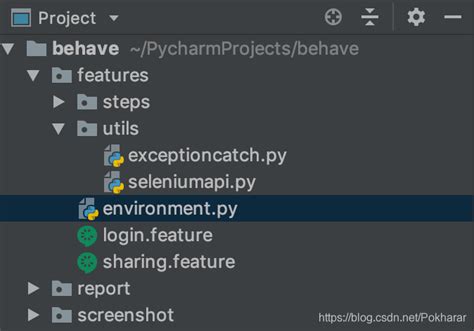 python behave allure web ui自动化测试 behave allure csdn博客