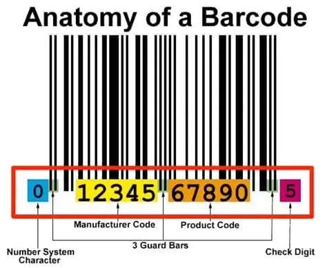 Amazon Barcodes Explained Fba Product Codes Fnsku Upc Gs1