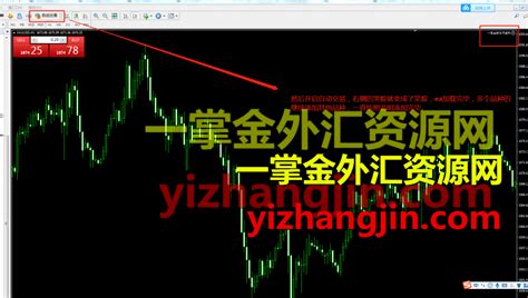 如何正确的安装外汇ea，dll文件，参数备份 一掌金外汇ea测评网