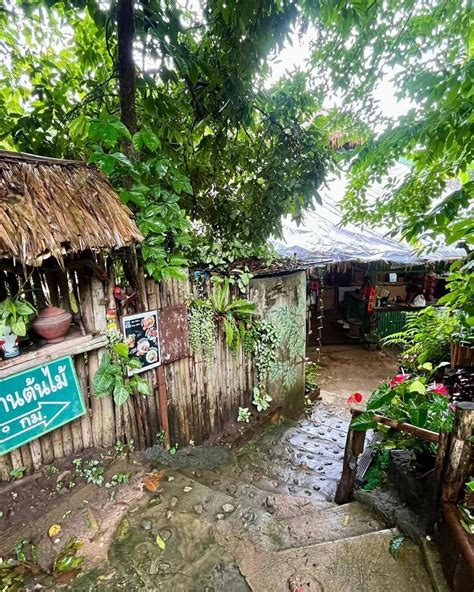 บ้านต้นไม้แม่แมะ บ้านต้นไม้แม่แมะ Tree House Hideaway