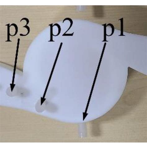 Pressure Pulsation Monitoring Points Positions Download Scientific Diagram