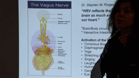 Week 2 Part 1 Youtube