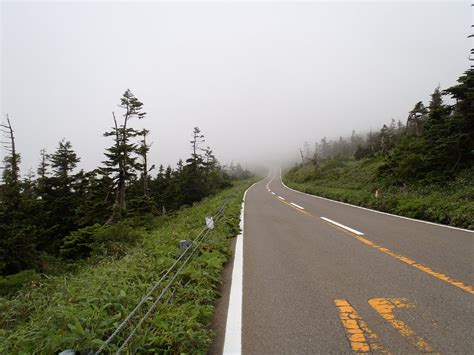 時折、霧に包まれながら走った八幡平アスピーテライン。 こんな天気｜touring Spice