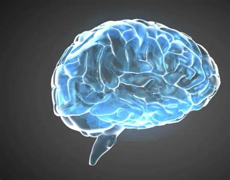 The Difference Between Eidetic Memory And Photographic Memory