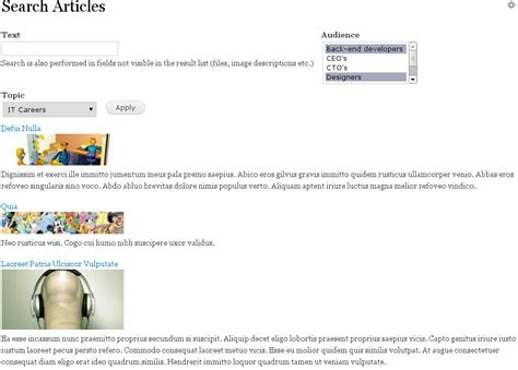Enlightening The Dark Art Of Solr Search With Drupal Annertech