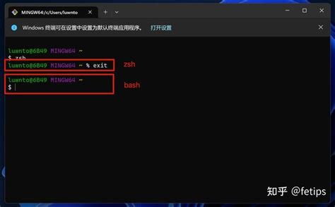 windows安装zsh终端 知乎