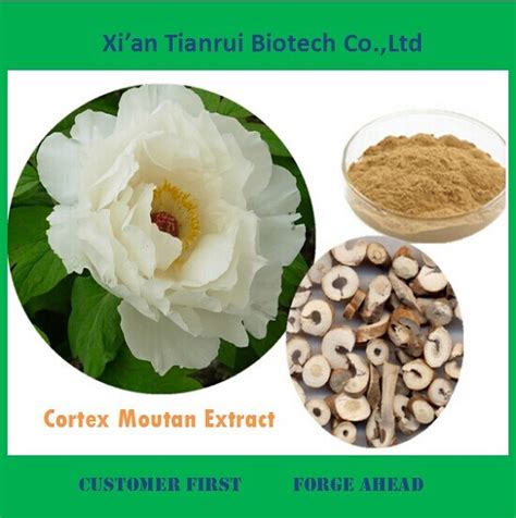 100 Natural Plant Cortex Moutan Extract Paeonol Cortex Moutan And