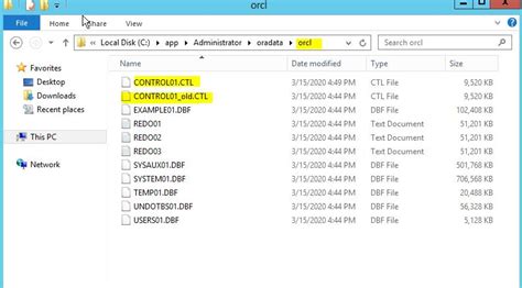 remote infrastructure management netbackup performing oracle database restores using rman client