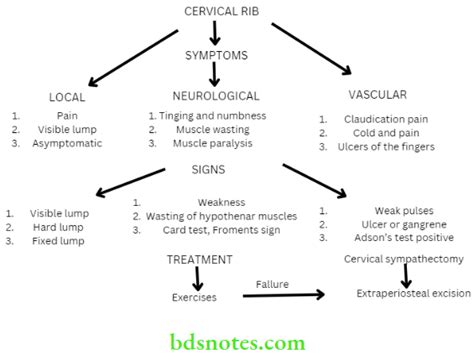 Upper Limb Ischaemia Notes Bds Notes