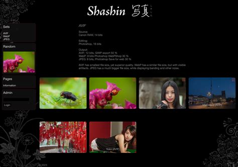 Github Dougherty Devshashin 写真 Shashin Lookbook Portfolio Software For Modern Image Formats