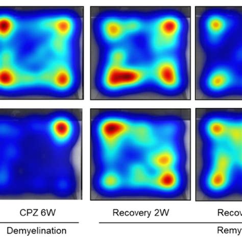 Open Field Behavior A E The Graphs Show The Total Distance Traveled
