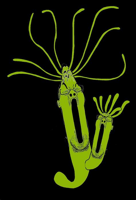 Pin By ♠️spade Avarius♠️ On Wojack Really Funny Pictures American Humor Just Girly Things