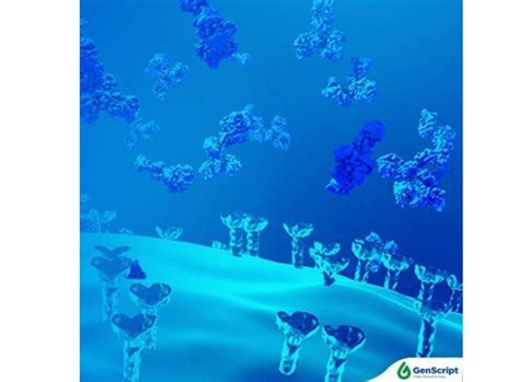 Optimize Neoantigen Immunotherapy For Cancer Treatment