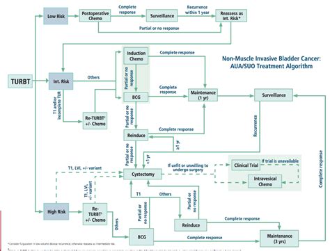 Bcg Unresponsive Disease Nmibc Challenges Sanjay G Patel