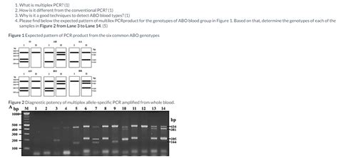 Solved What Is Multiplex Pcr 1 How Is It Different From