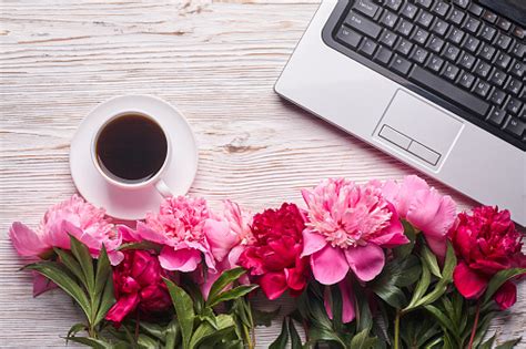 플랫 레이 여성 사무실 책상 노트북 분홍색 모란 꽃다발과 흰색 배경에 커피와 여성 작업 공간 맨 위 보기 여성스러운 배경 0명에 대한 스톡 사진 및 기타 이미지 Istock