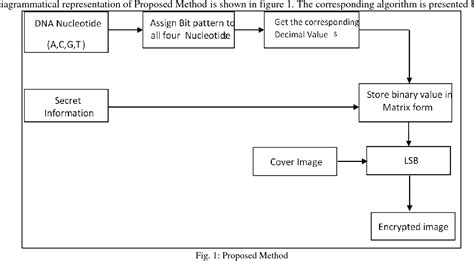 Figure 1 From Data Hiding By Image Steganography Appling Dna Sequence Arithmetic And Lsb Insertion