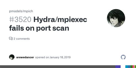 Hydrampiexec Fails On Port Scan · Issue 3520 · Pmodelsmpich · Github