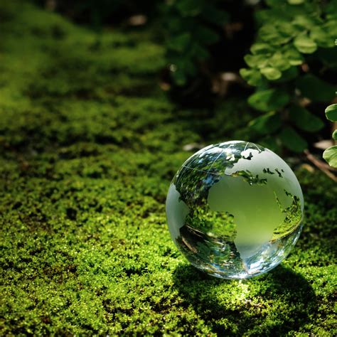 Mission Statement Dataesg