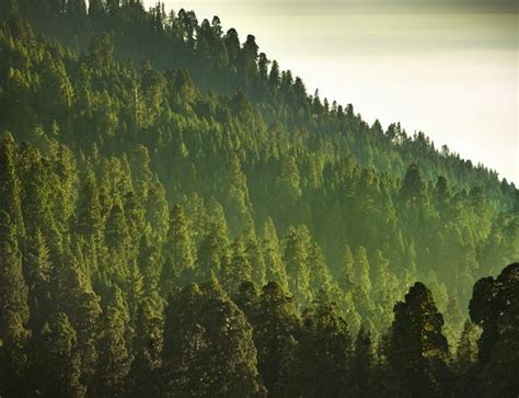 Integrating Ecosystem Impact Assessment Into Life Cycle Assessment