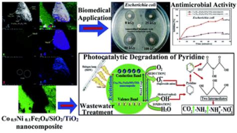 Merits Of Photocatalytic And Antimicrobial Applications Of Gamma Irradiated Co Xni1 Xfe2o4