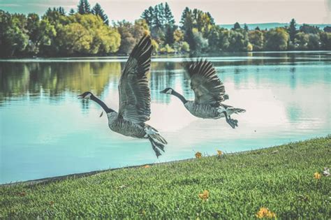 John Turman Posted On Linkedin