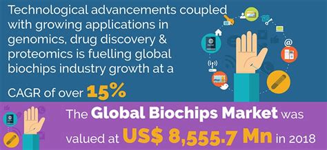 Global Biochip Market Size Share And Industry Forecast 2019 2025