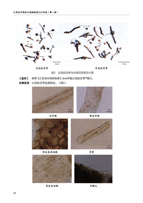 白花蛇舌草 江苏省中药饮片炮制规范2020年版 蒲标网