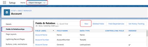 using formula fields in salesforce