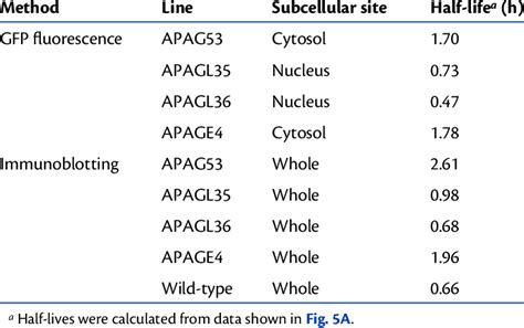Half Life Of Phya Gfp Derivatives Under Continuous R Download Table