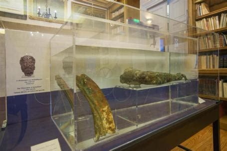 Una Exposición En Grecia Reúne Los últimos Hallazgos Del Naufragio De