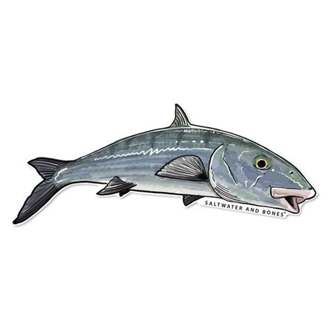 Bonefish Decal Saltwater And Bones