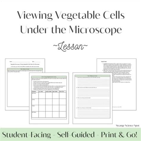 Using Microscopes Lesson With Lab Ms Ls1 1 Grades 6 8 Tpt