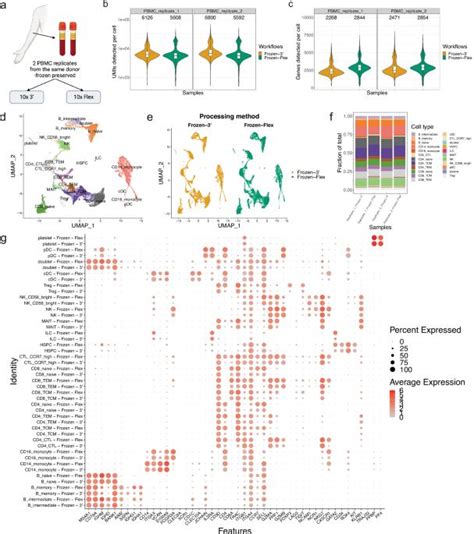 Snpatho Seq A Versatile Ffpe Single Nucleus Rna Sequencing Method To Unlock Pathology Archives