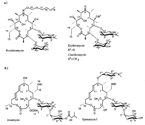 Chemical Structures Of The A 14 Membered Ring Macrolides Download Scientific Diagram
